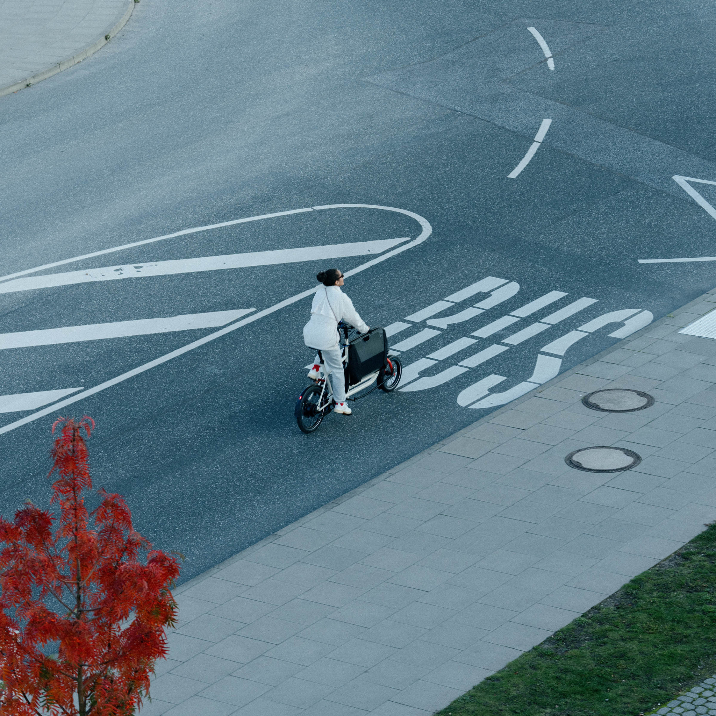 muli-cycles – dein kompaktes Lastenrad aus Köln