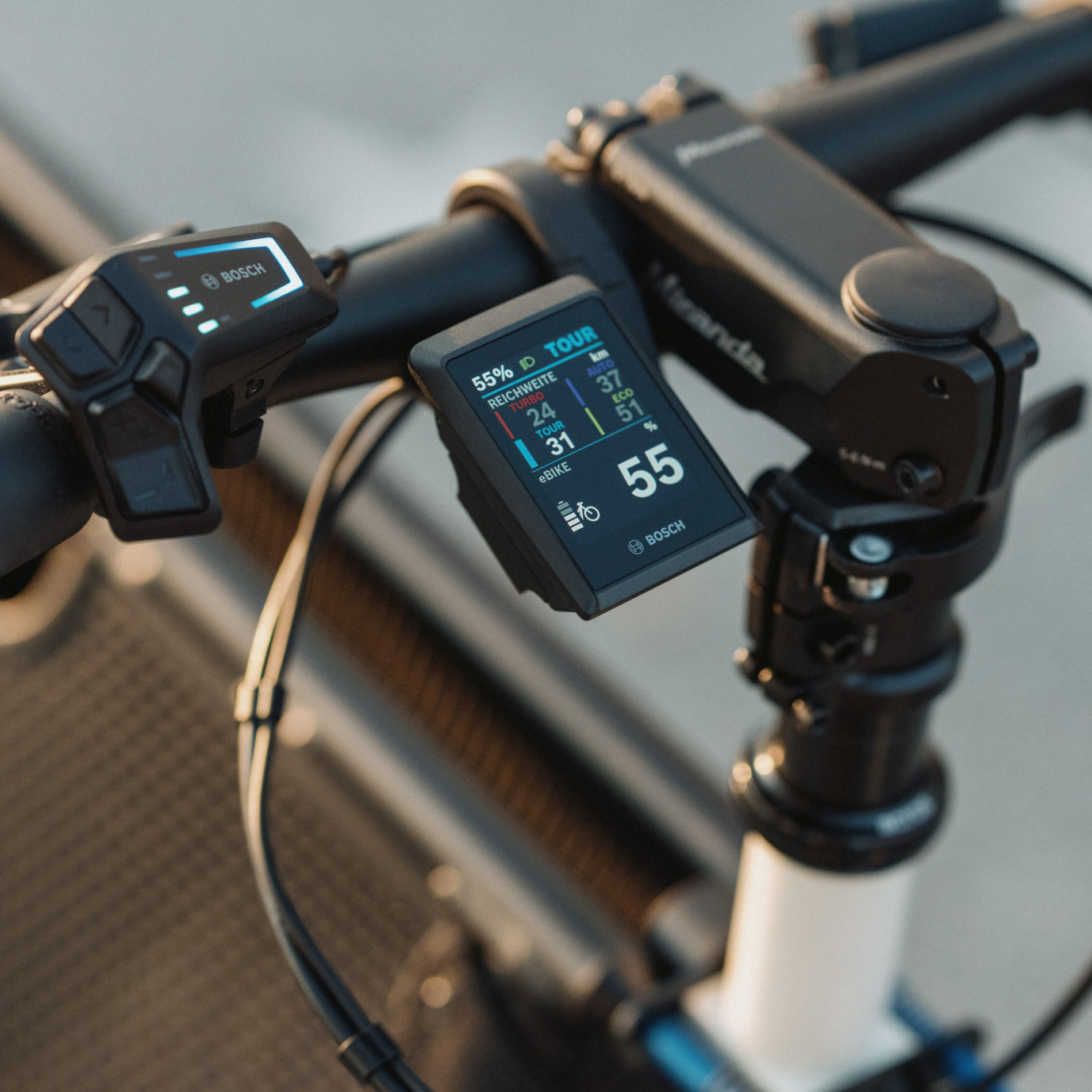 muli-cycles – dein kompaktes Lastenrad aus Köln