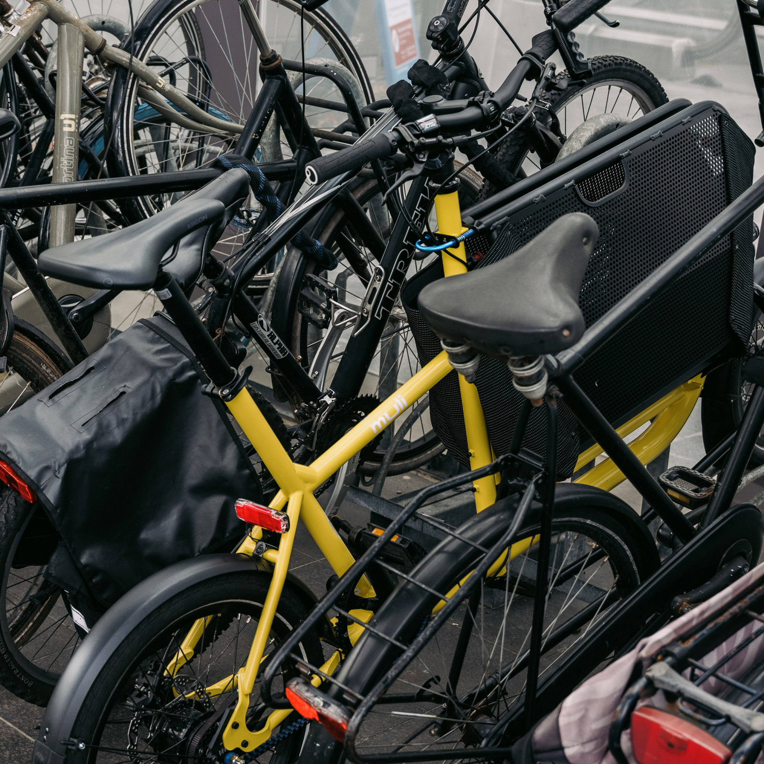 muli-cycles – dein kompaktes Lastenrad aus Köln