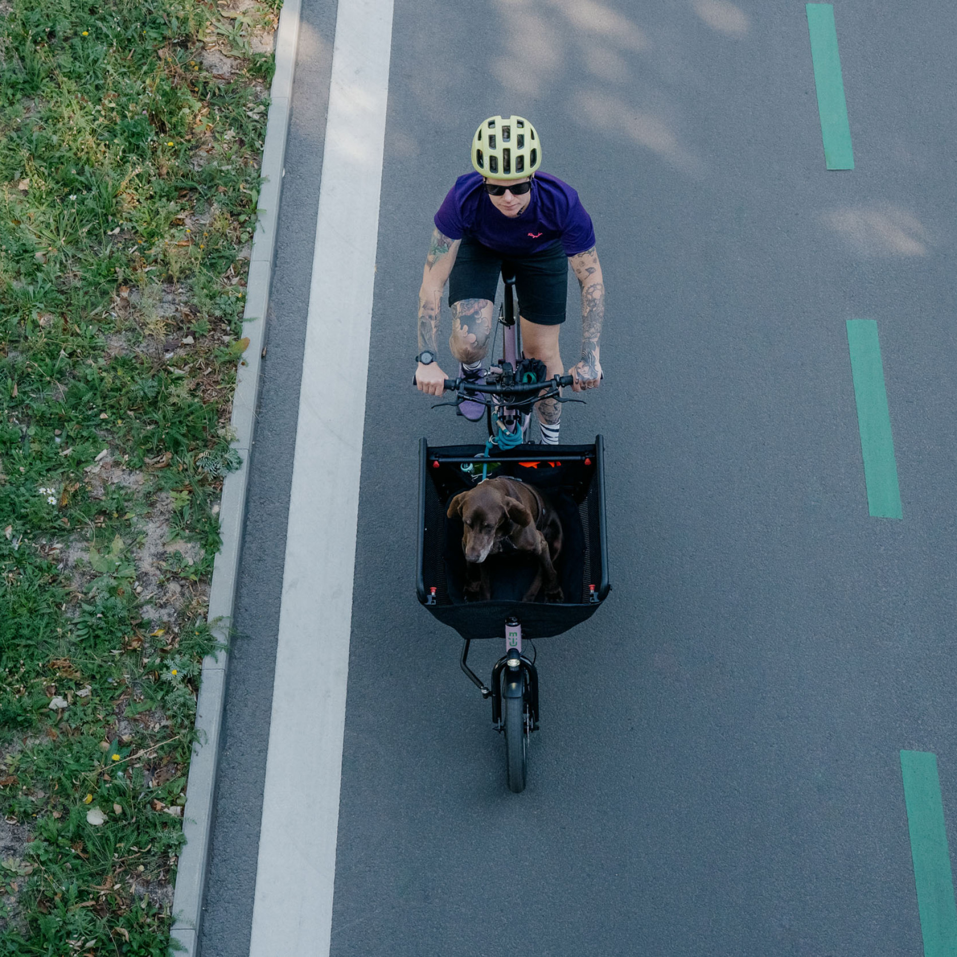 muli-cycles – dein kompaktes Lastenrad aus Köln