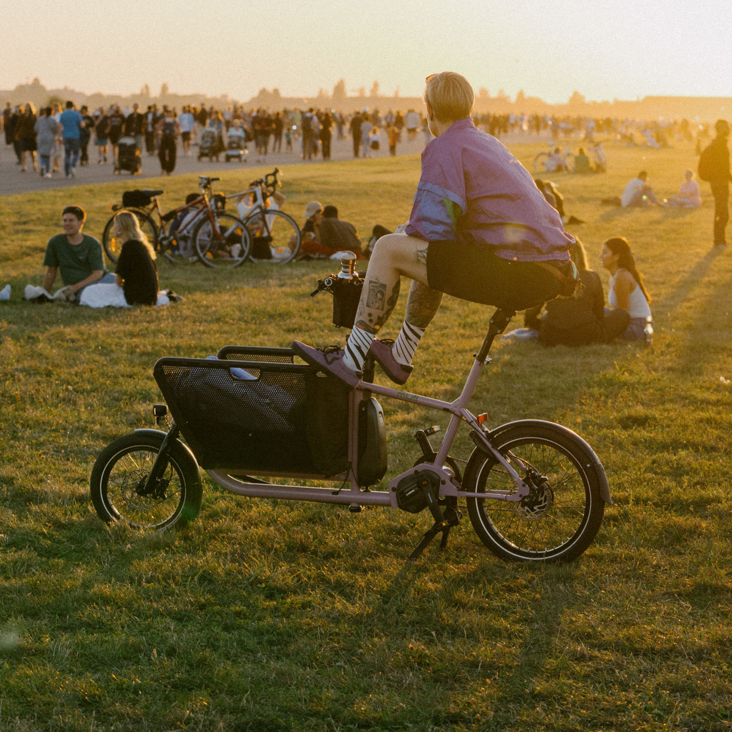 muli-cycles – dein kompaktes Lastenrad aus Köln
